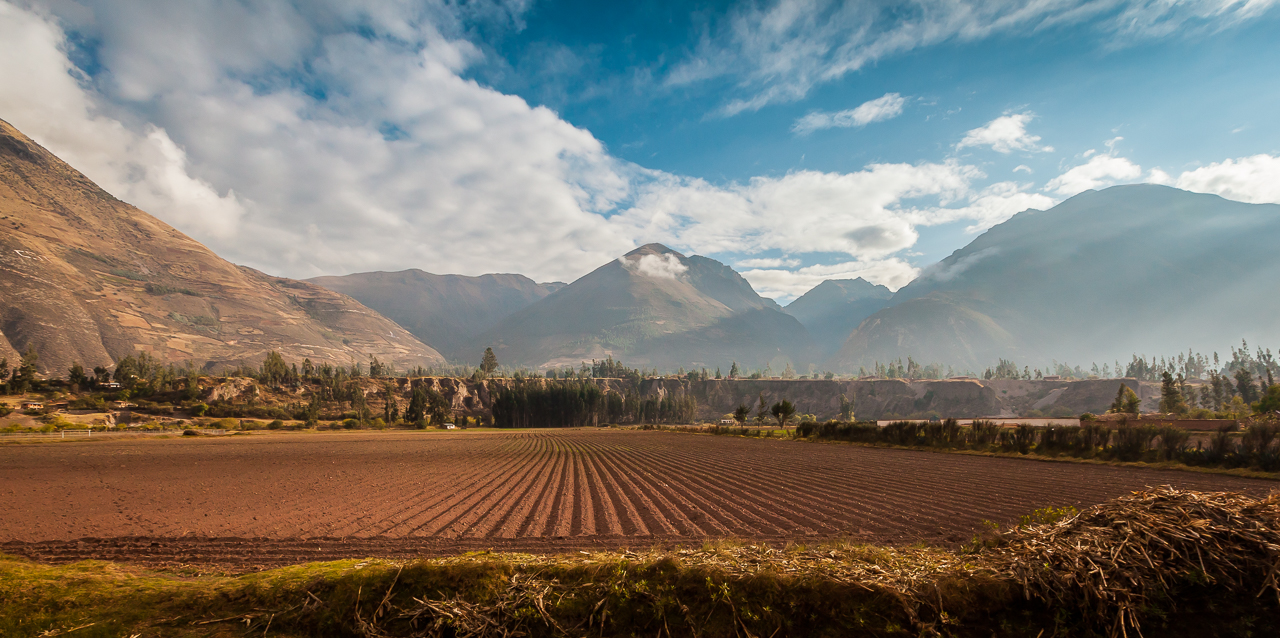 Field in the Mountains of Peru - Battered LuggageBattered Luggage
